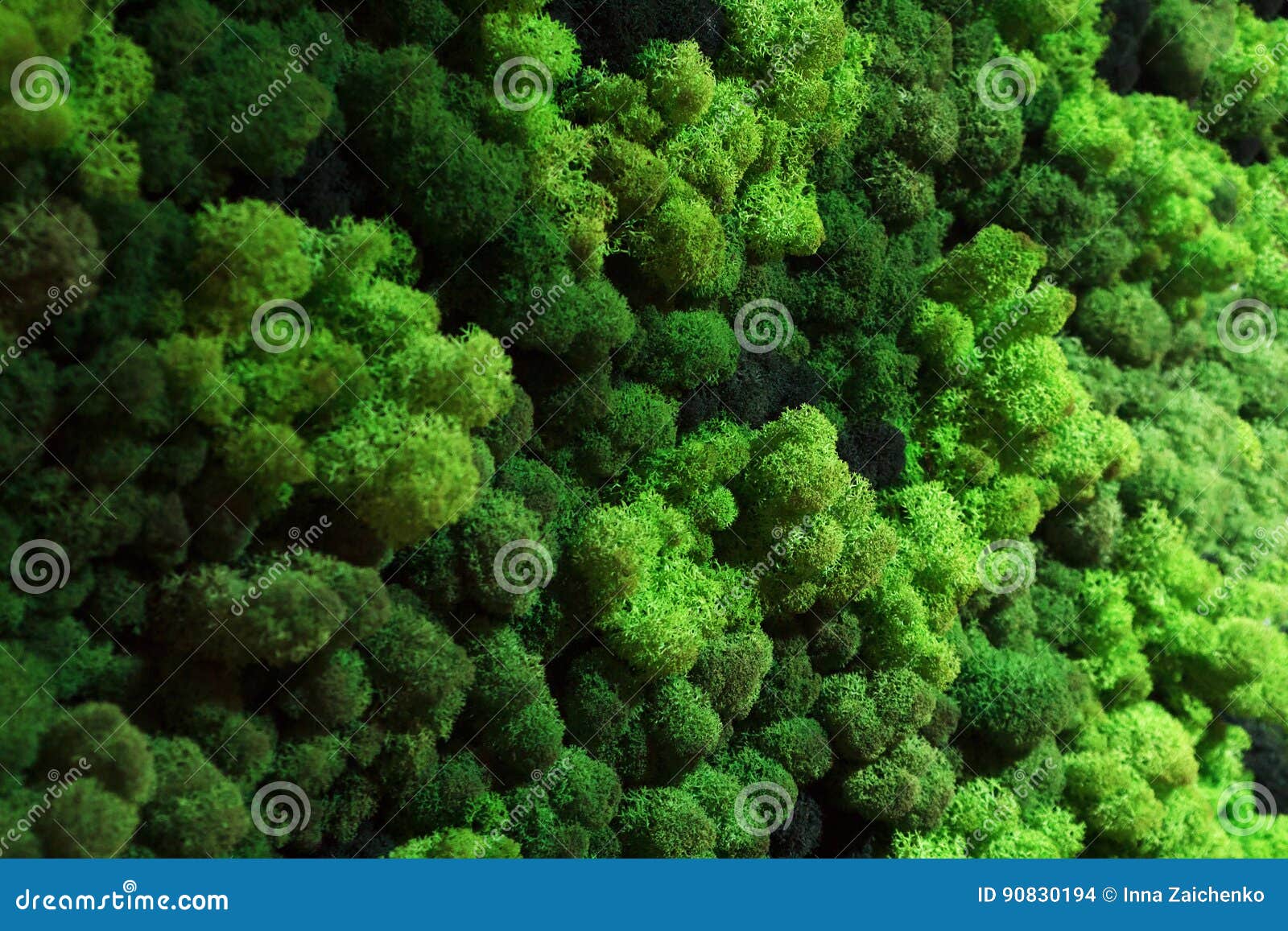 Moss texture, background stock photo. Image of pattern - 90830194