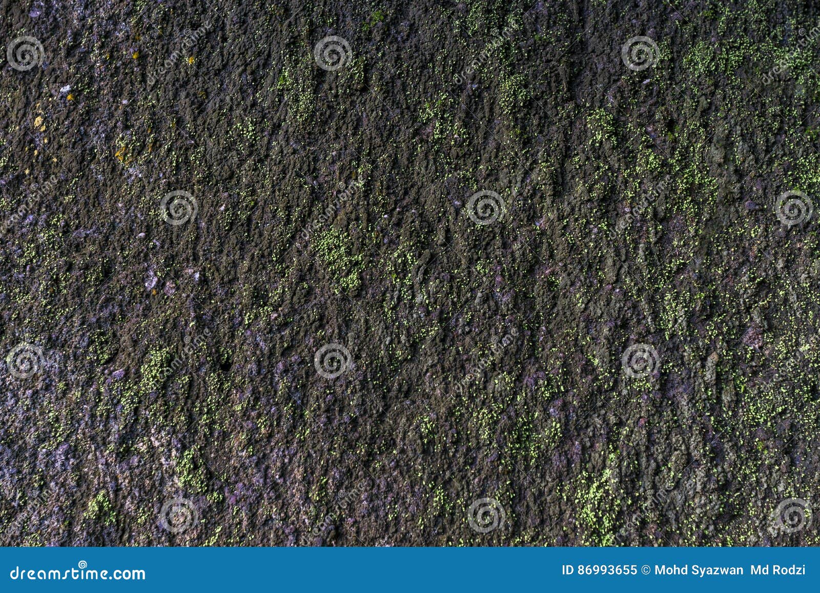 Moss textures stock image. Image of green, moss, textures - 86993655