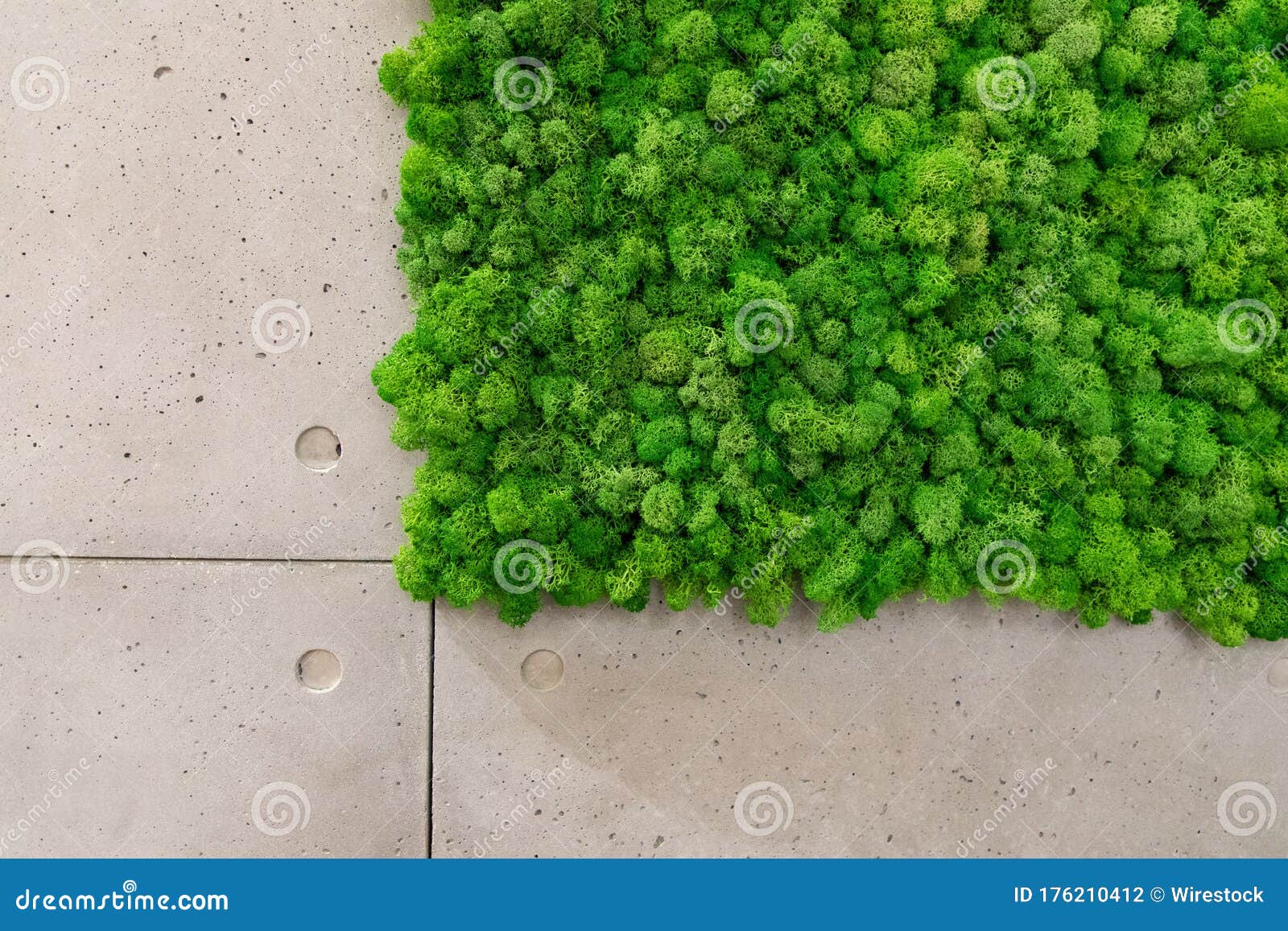 Moss Wall with Interesting Textures - Great for a Cool Background or ...