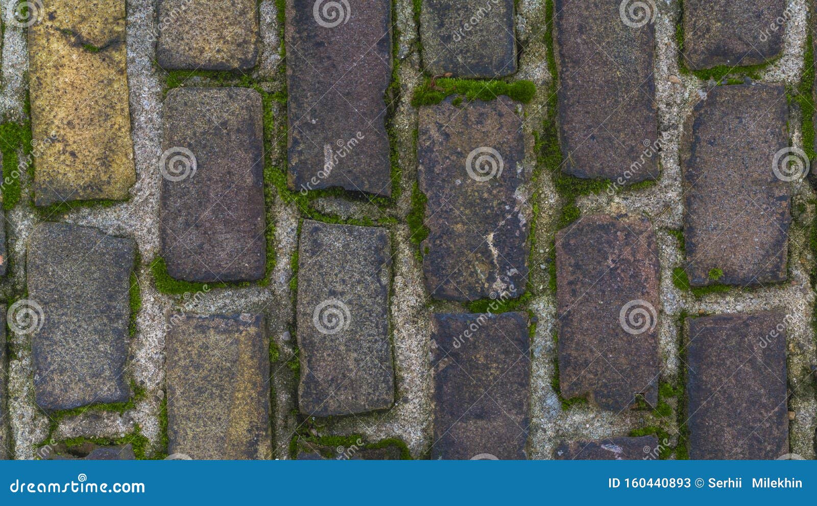 Moss on the Wall of an Old Castle Surface Old Bricks Wall Stock Image ...