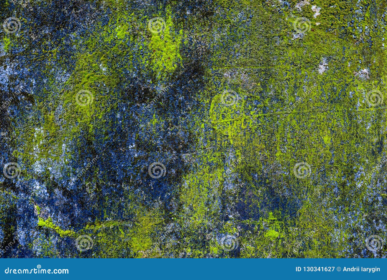 Moss Wall Texture Pattern Design and Architecture Stock Image - Image ...