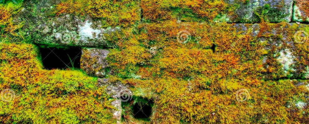 Mossed stone wall stock photo. Image of ruin, nature, effect - 2473632
