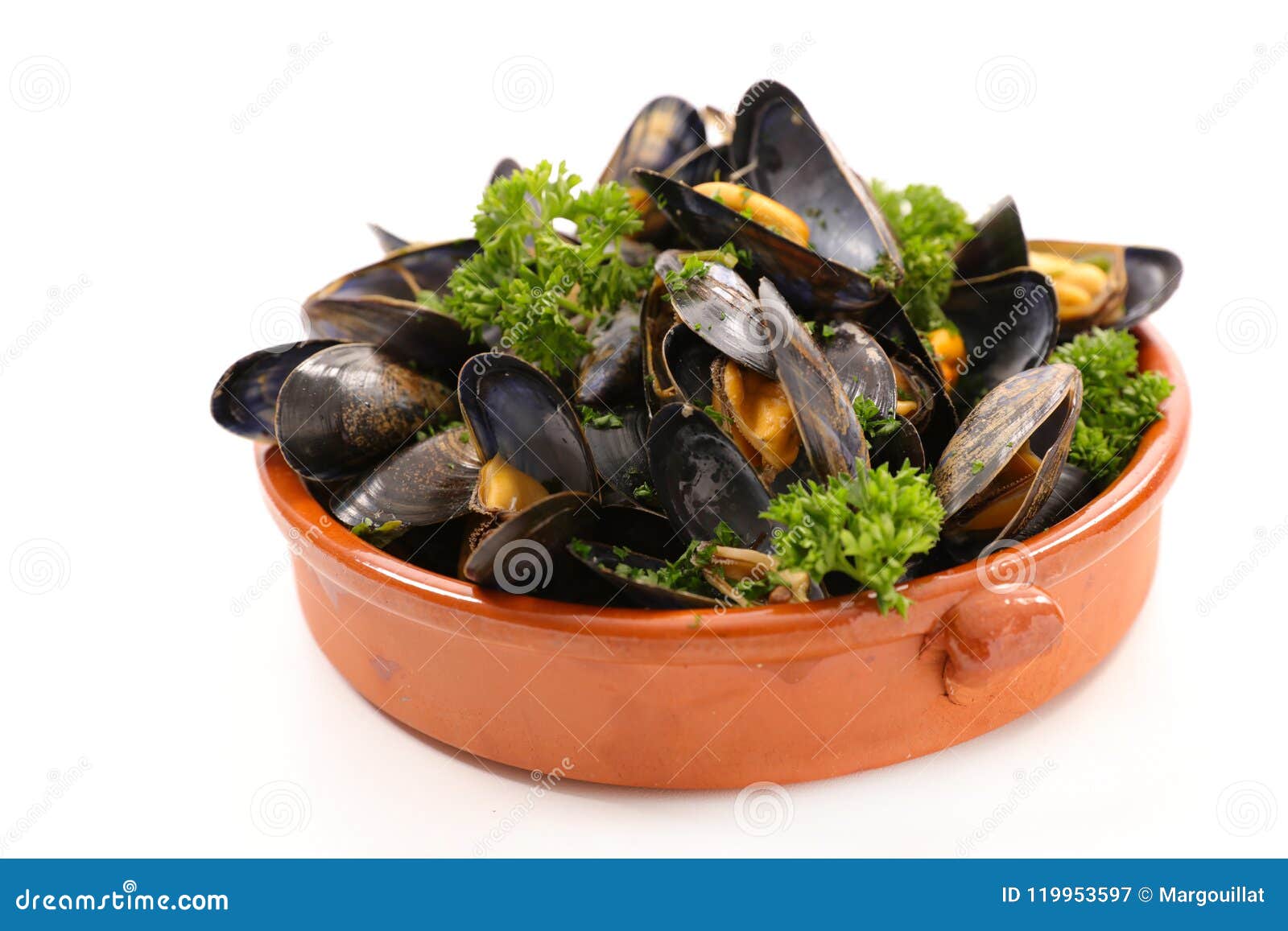 Mossel stock afbeelding. Image of geïsoleerd, maaltijd - 119953597