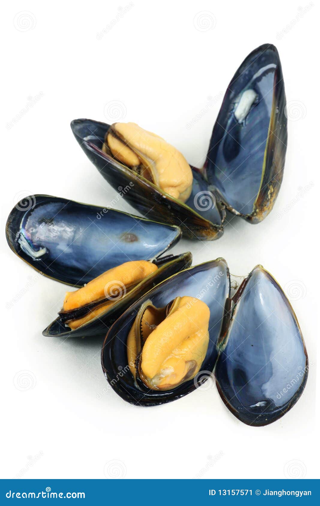 Mossel stock afbeelding. Image of schelp, dieet, eten - 13157571