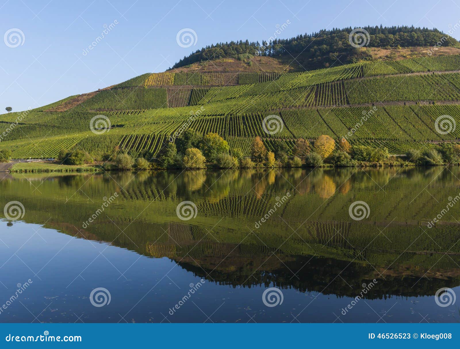 150 Mossele Stock Photos - Free & Royalty-Free Stock Photos from Dreamstime