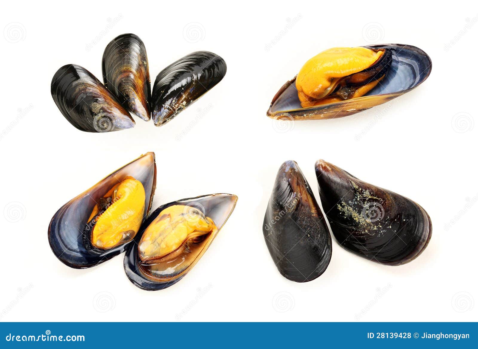 Mosselen stock foto. Image of voedsel, gezond, keuken - 28139428
