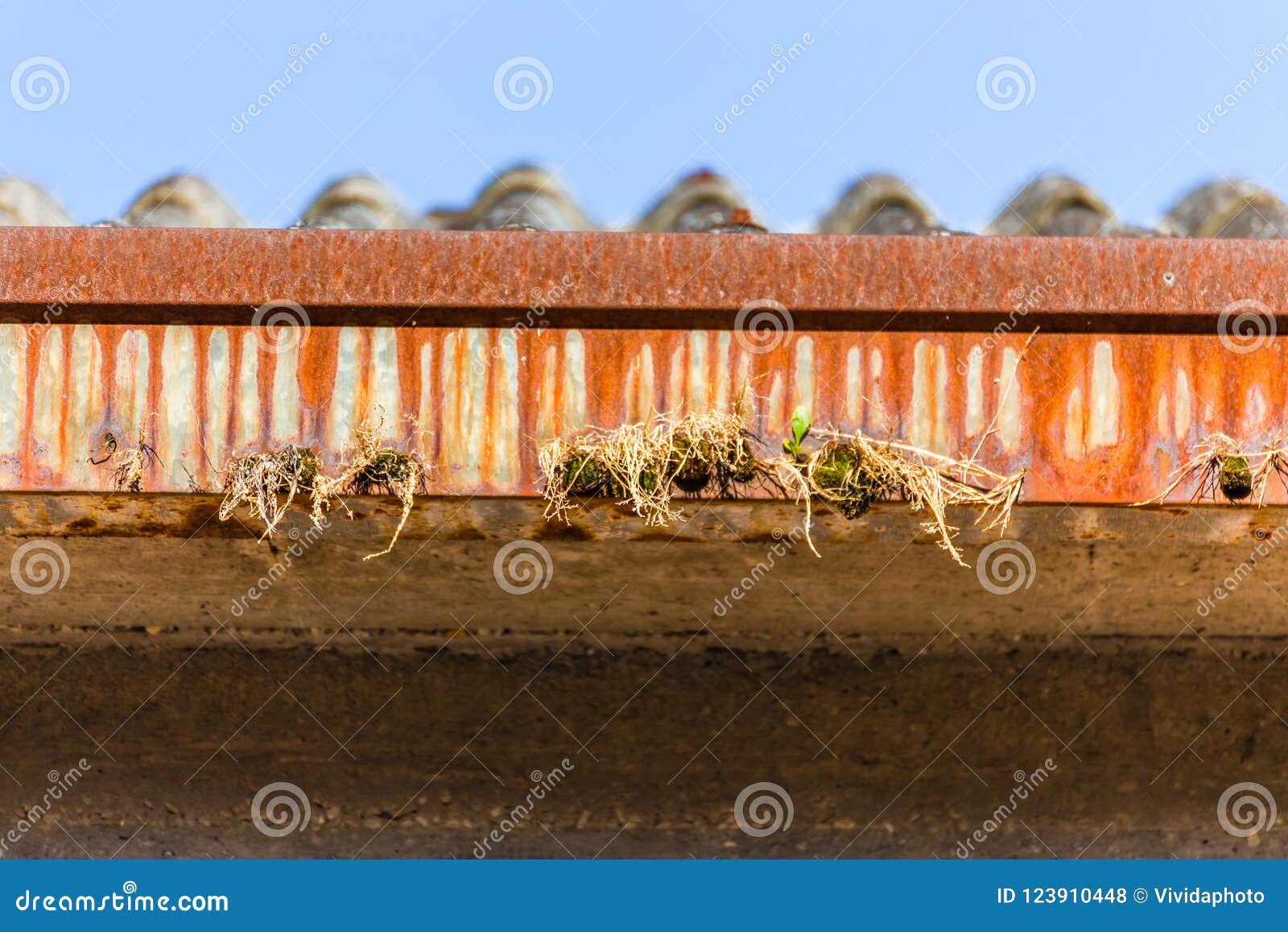 Old rusty gutters stock photo. Image of isolated, rusty - 123910448