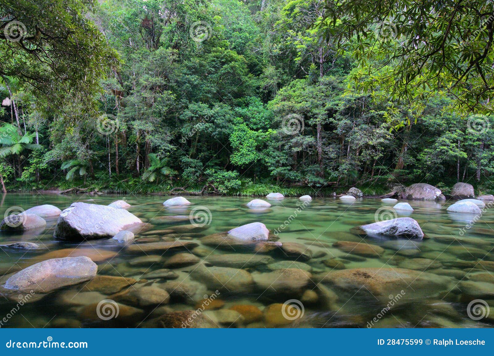 Mossman Gorge stock image. Image of forest, rainforest - 28475599