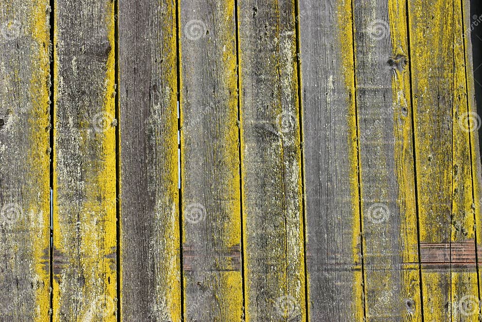Mossy barn stock photo. Image of planks, ranch, wood, mossy - 600250