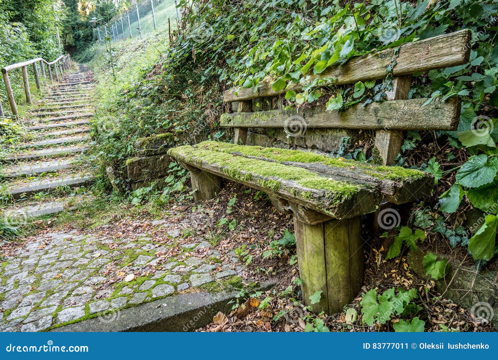 Mossy bench and footpath. stock image. Image of repose - 83777011