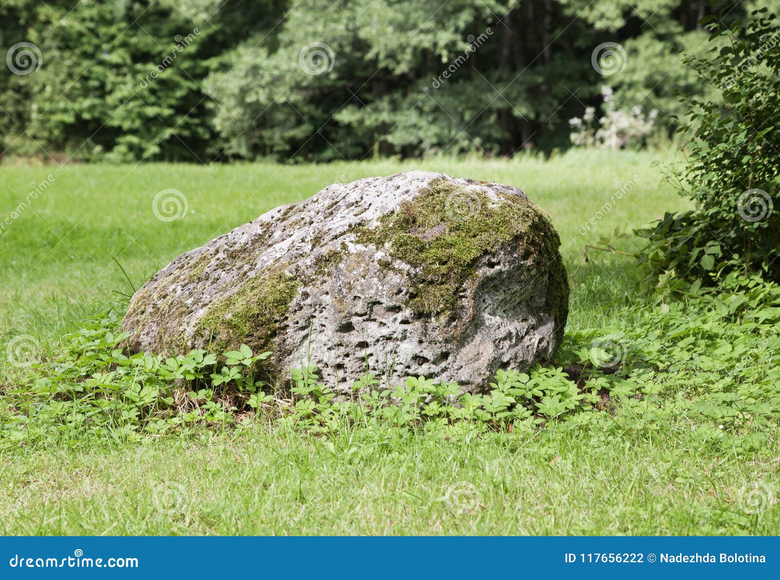 Mossy Boulder Laying in the Grass Stock Photo - Image of outdoor ...