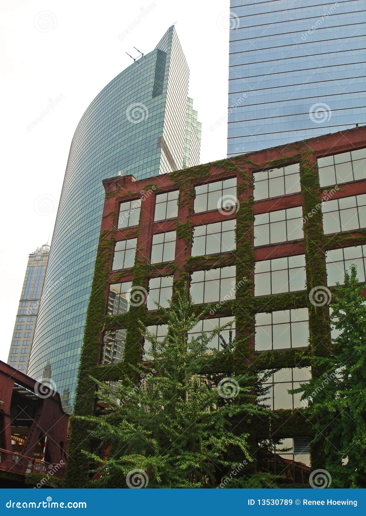 Mossy Brick Building in Front of Sleek Towers Stock Image - Image of ...