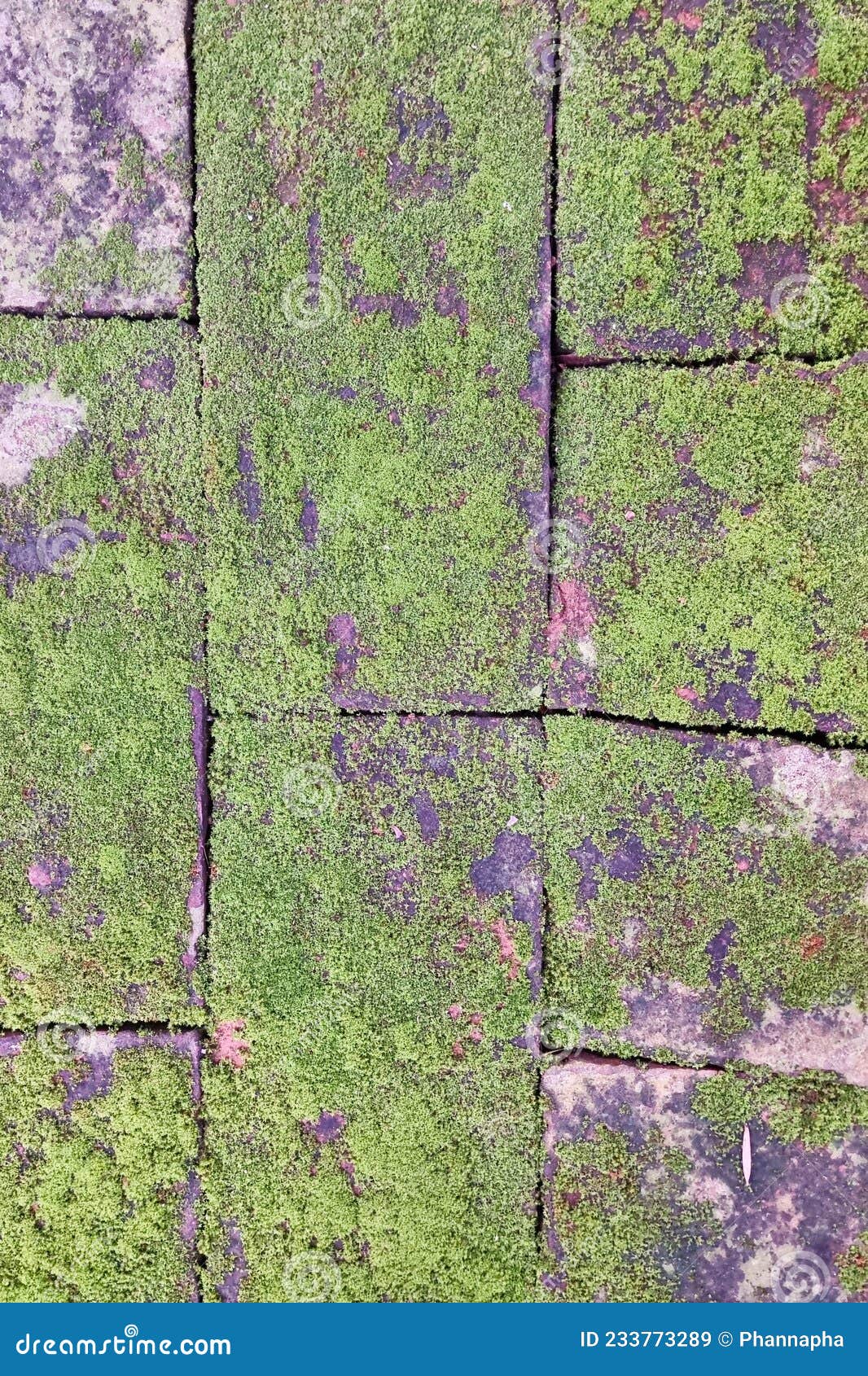 Mossy Brick Texture Royalty-Free Stock Photography | CartoonDealer.com ...