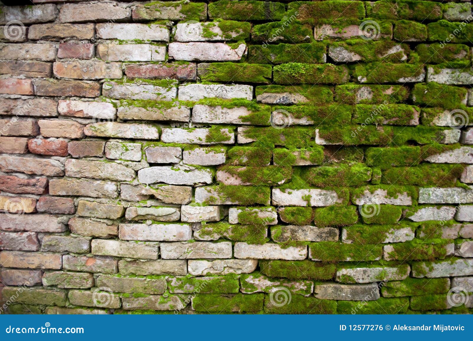Mossy Brick Texture Royalty-Free Stock Photography | CartoonDealer.com ...