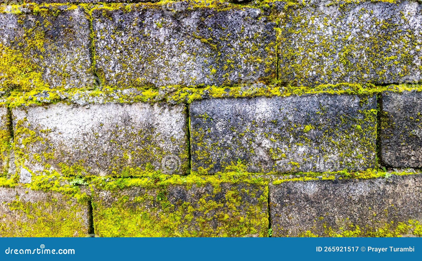 Mossy Brick Wall in the Background Stock Image - Image of grunge ...