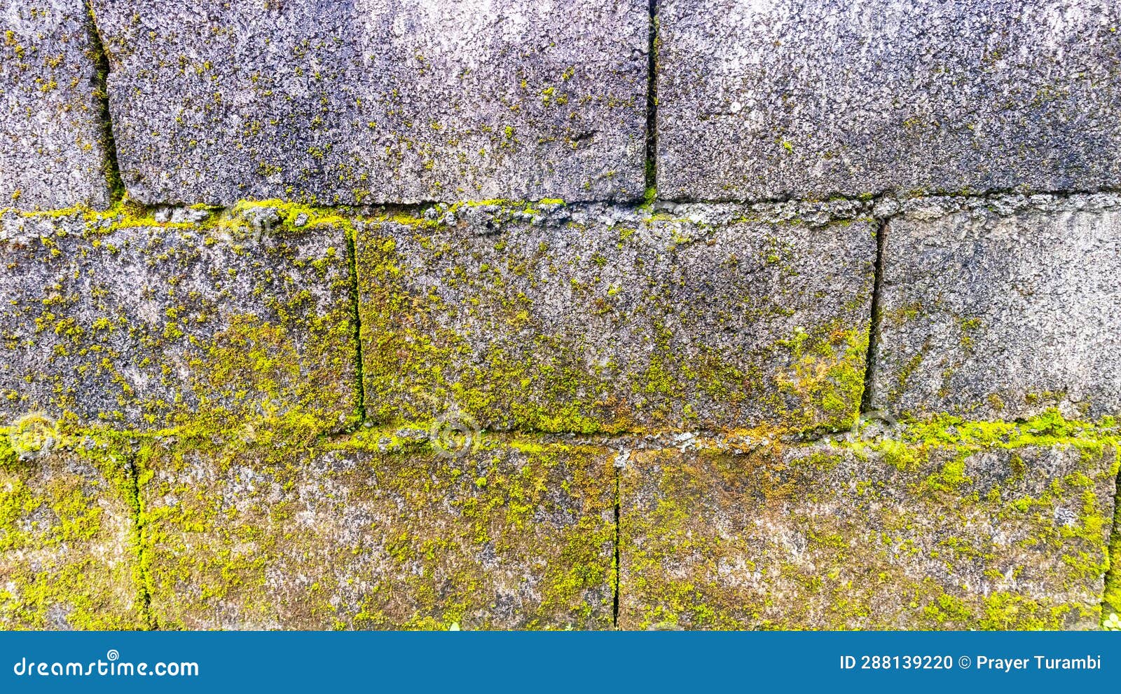 Mossy Brick Wall in the Background Stock Photo - Image of background ...