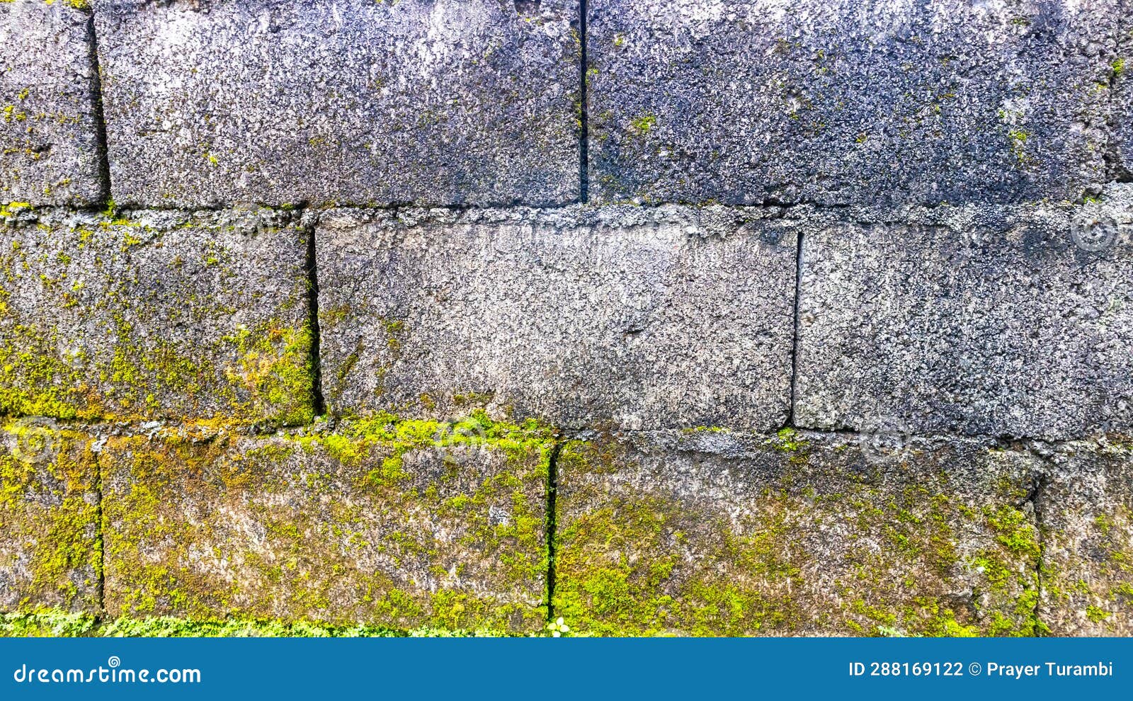 Mossy Brick Wall in the Background Stock Photo - Image of outdoors ...