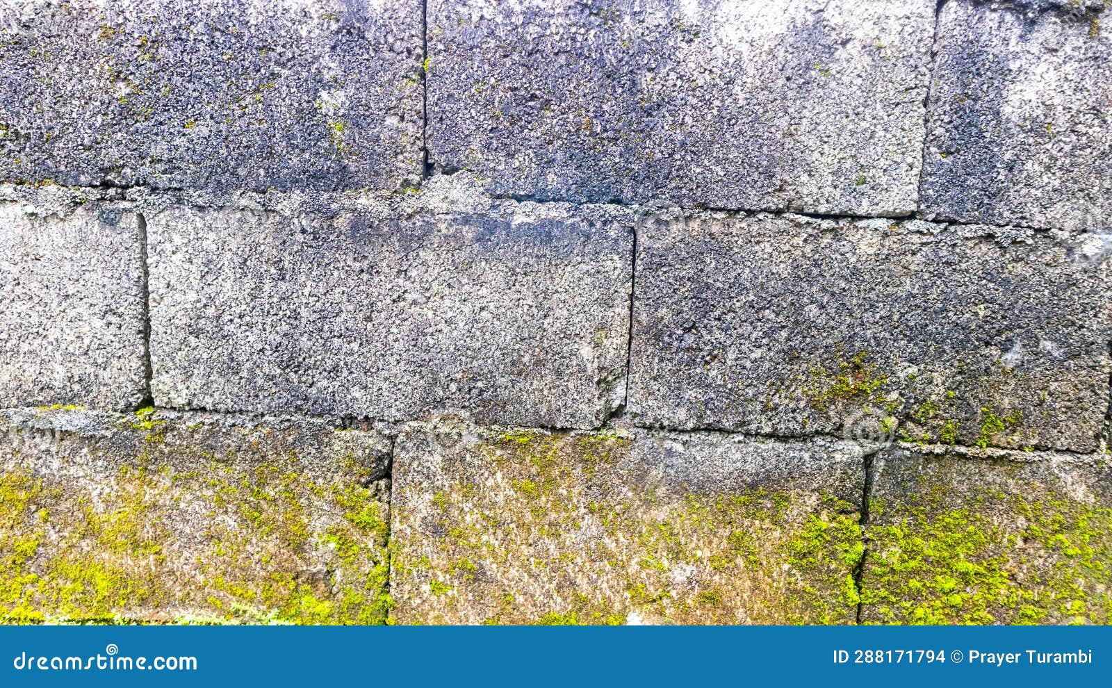 Mossy Brick Wall in the Background Stock Photo - Image of architecture ...