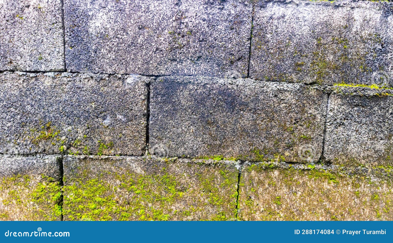Mossy Brick Wall in the Background Stock Photo - Image of historical ...