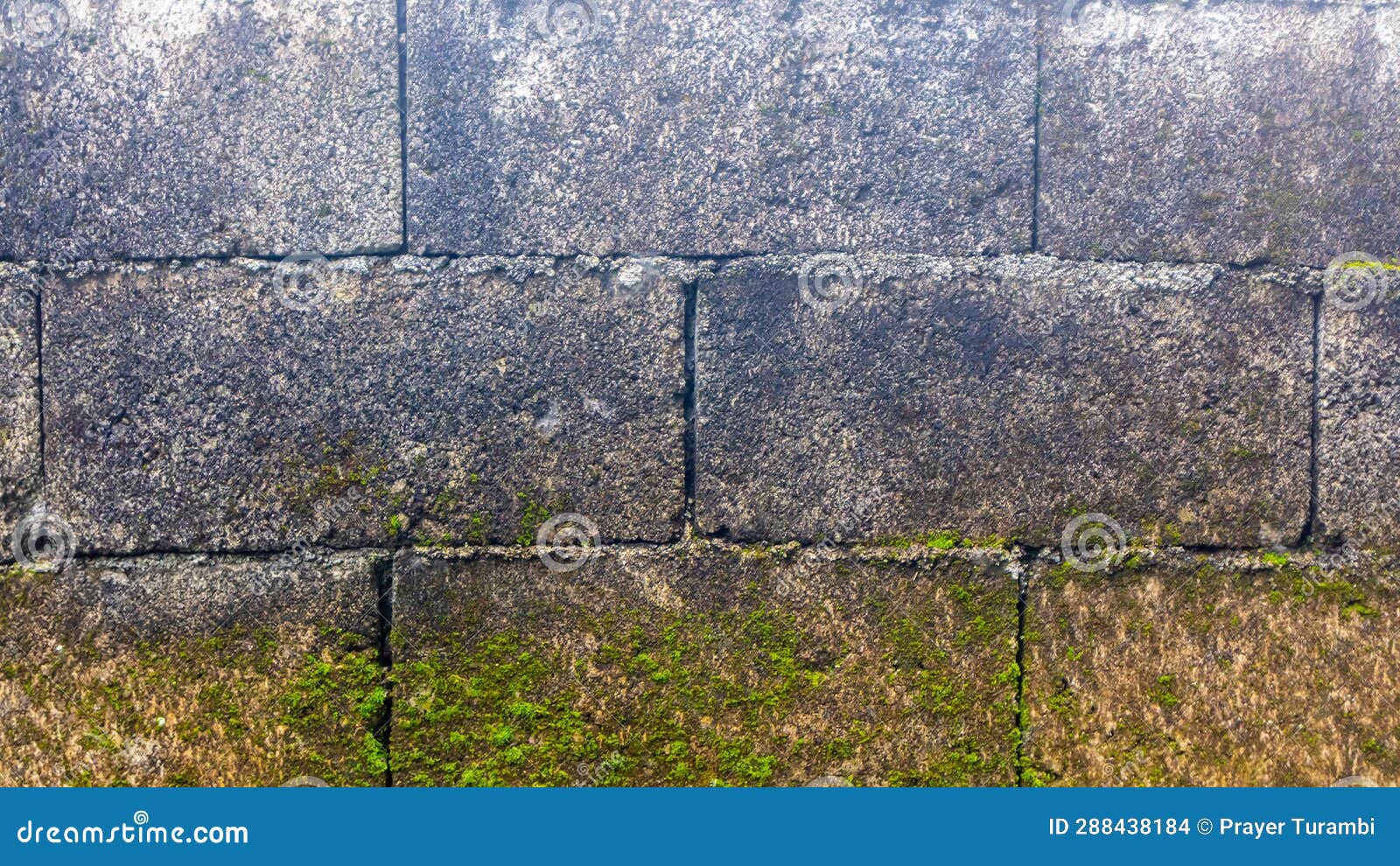 Mossy Brick Wall in the Background Stock Photo - Image of exterior ...