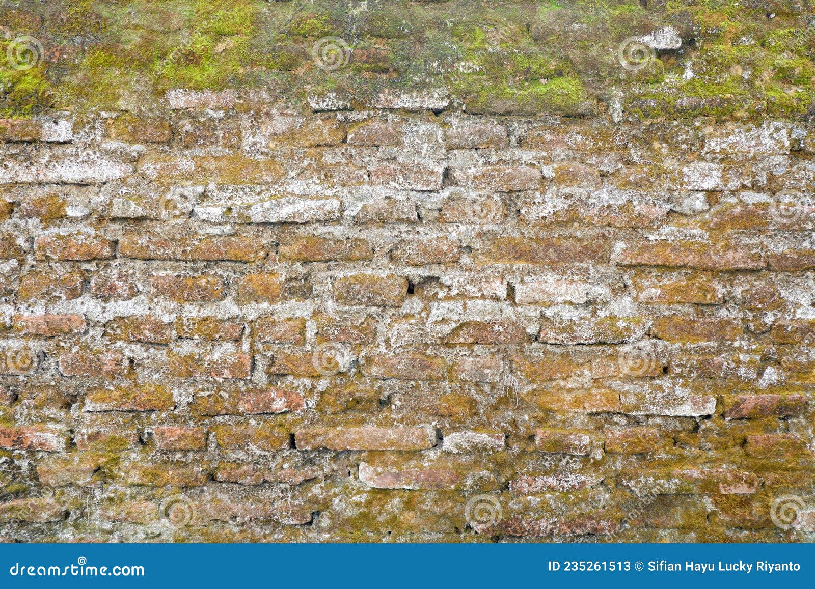 Mossy brick wall stock image. Image of color, clay, stone - 235261513