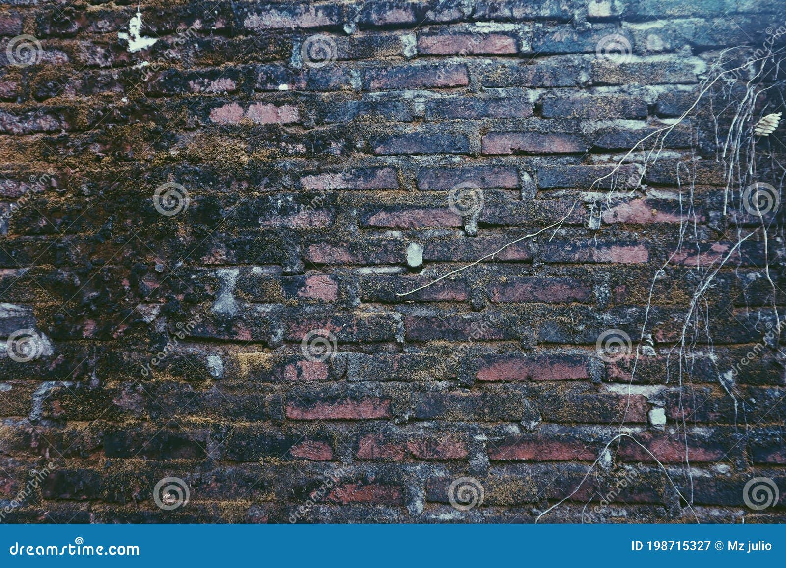 Mossy brick walls stock image. Image of cobblestone - 198715327