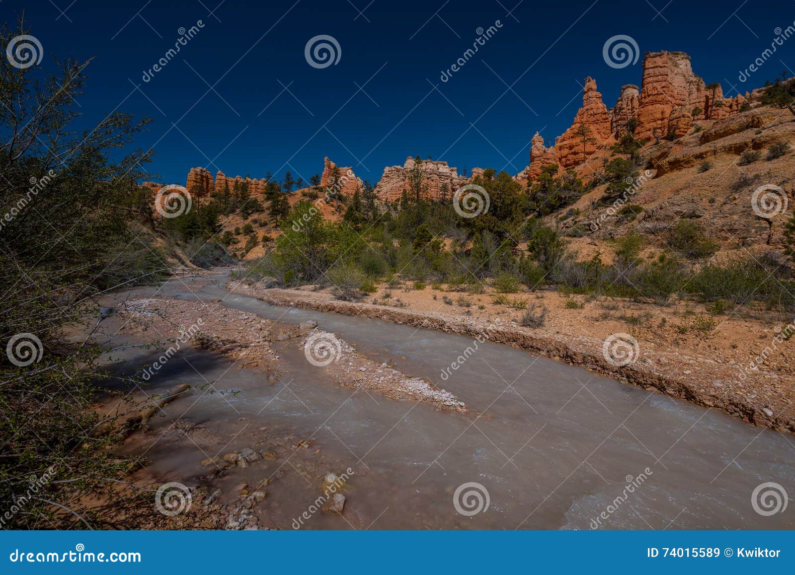 Mossy Cave Trail Royalty-Free Stock Photo | CartoonDealer.com #74015589