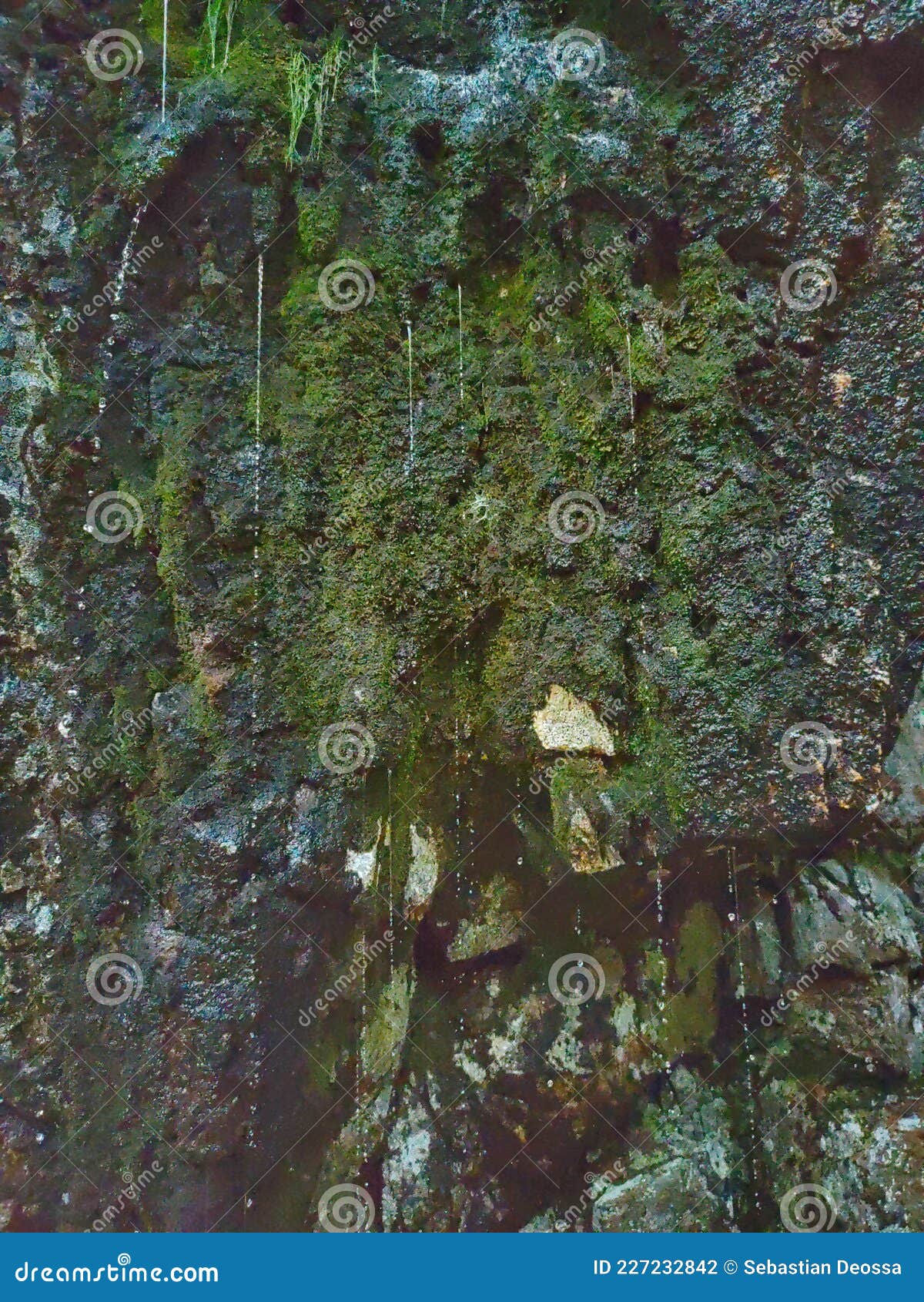 Mossy Cliff Side stock photo. Image of cliff, dripping - 227232842
