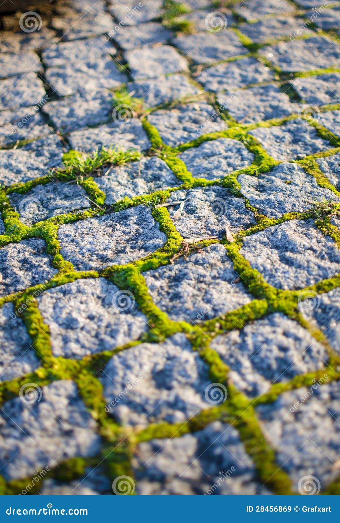 Mossy cobblestones stock image. Image of force, footpath - 28456869