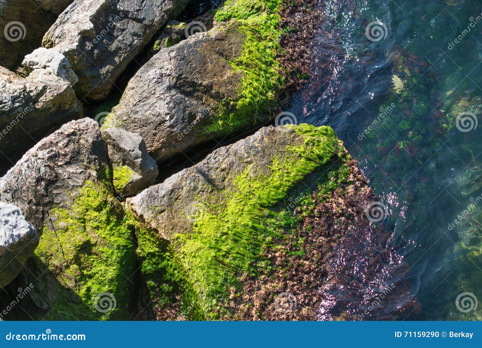 Mossy Covered Stones by the Sea Stock Photo - Image of stone, stones ...