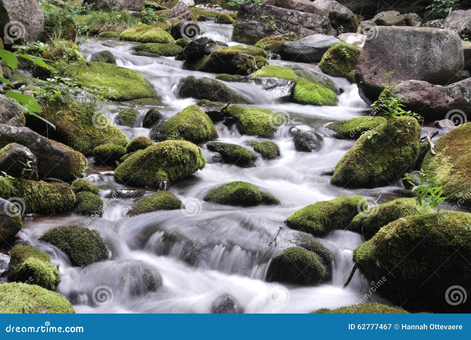 Mossy Creek stock image. Image of stream, running, creek - 62777467