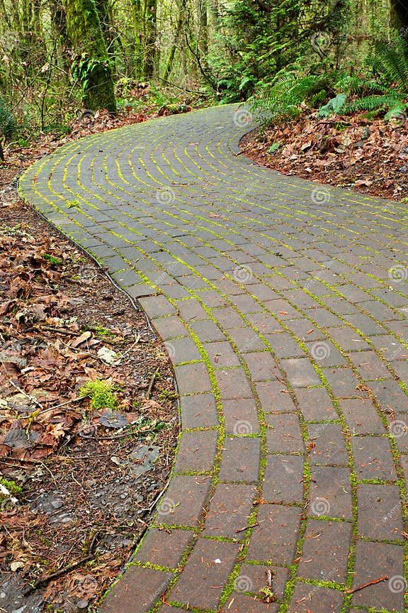 Mossy curved brick path stock photo. Image of outdoors - 29371610