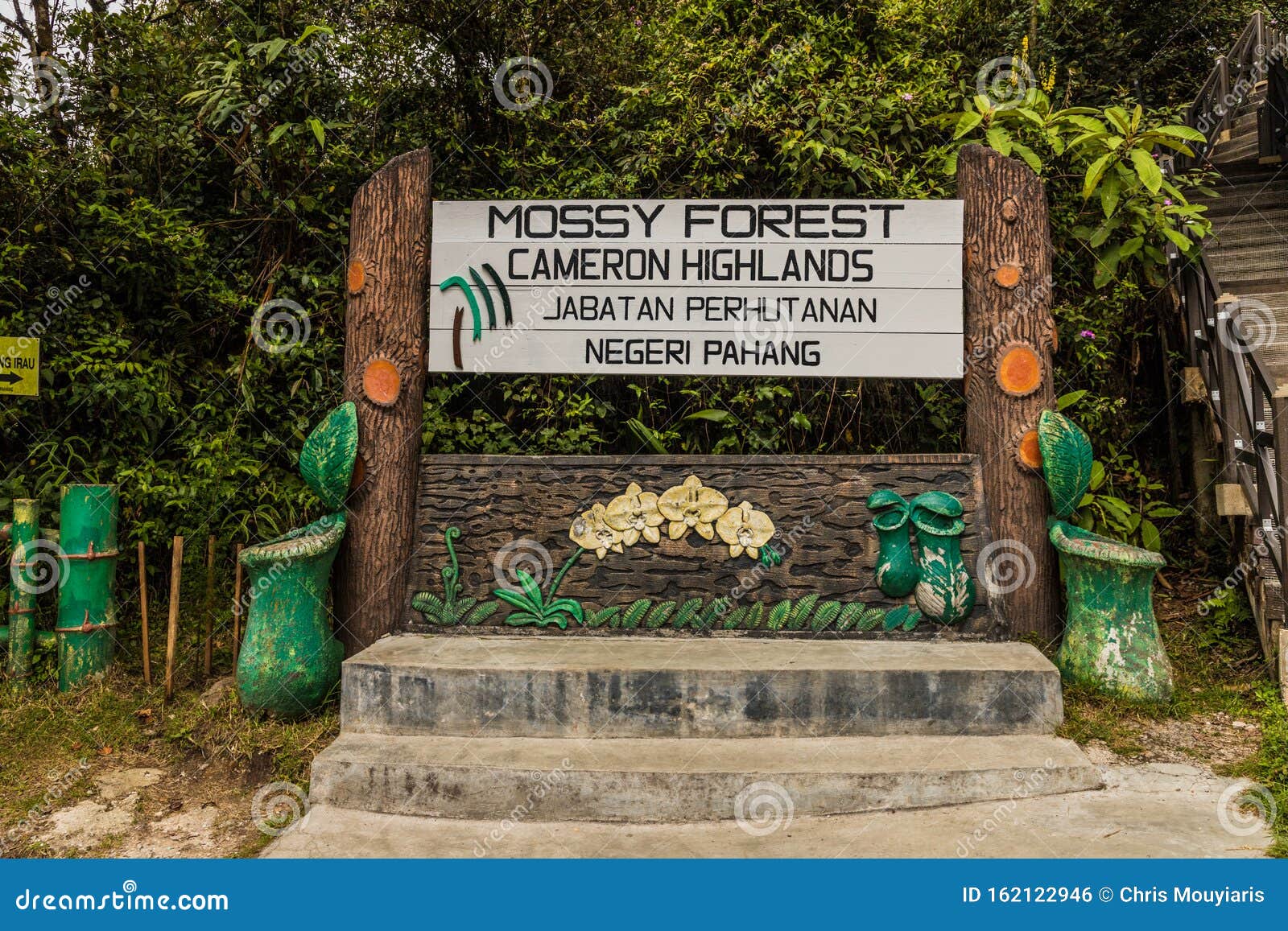 The Mossy Forest in Cameron Highlands in Malaysia Editorial Photo ...