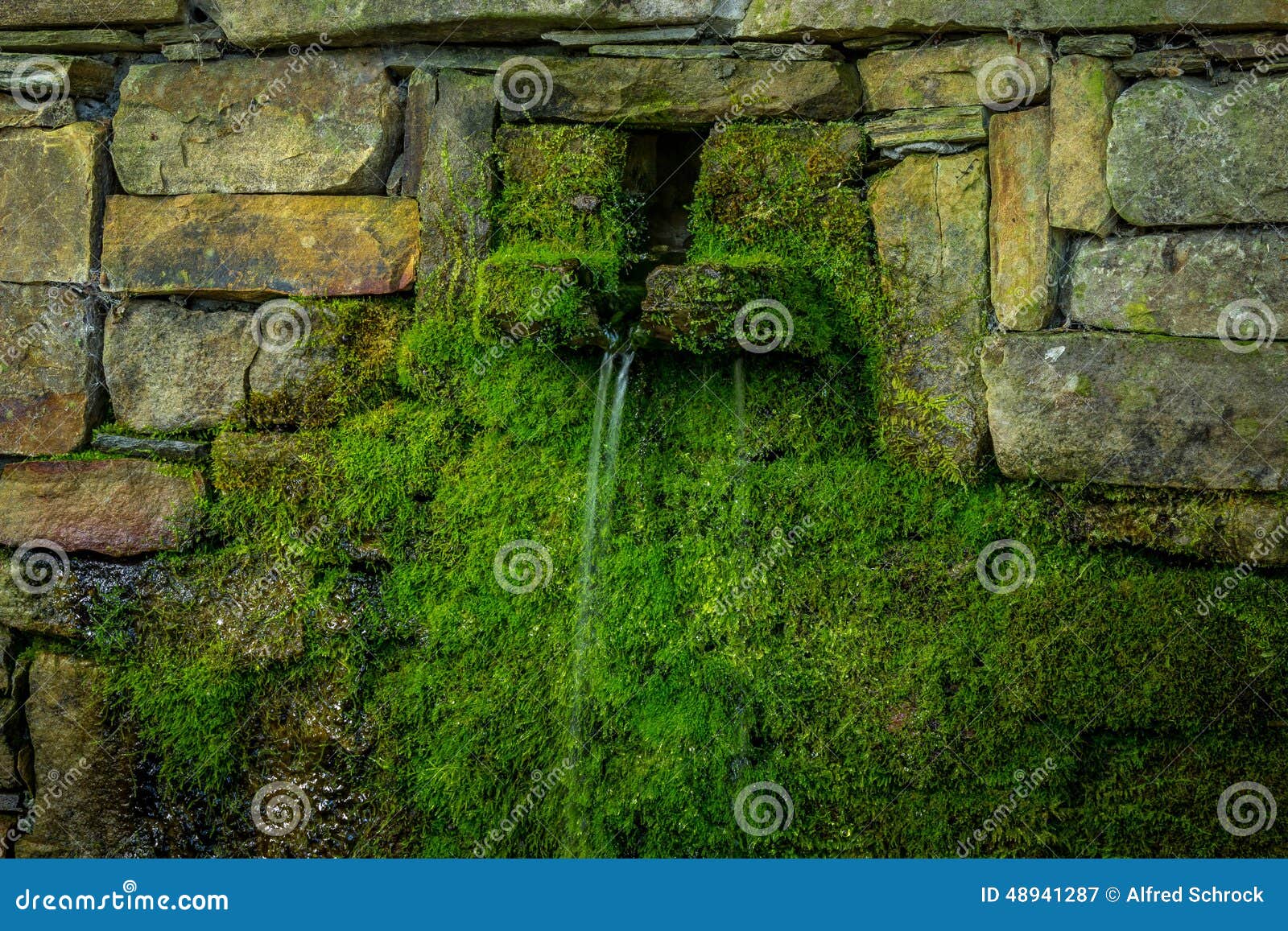 Mossy Fountain stock image. Image of fountain, green - 48941287