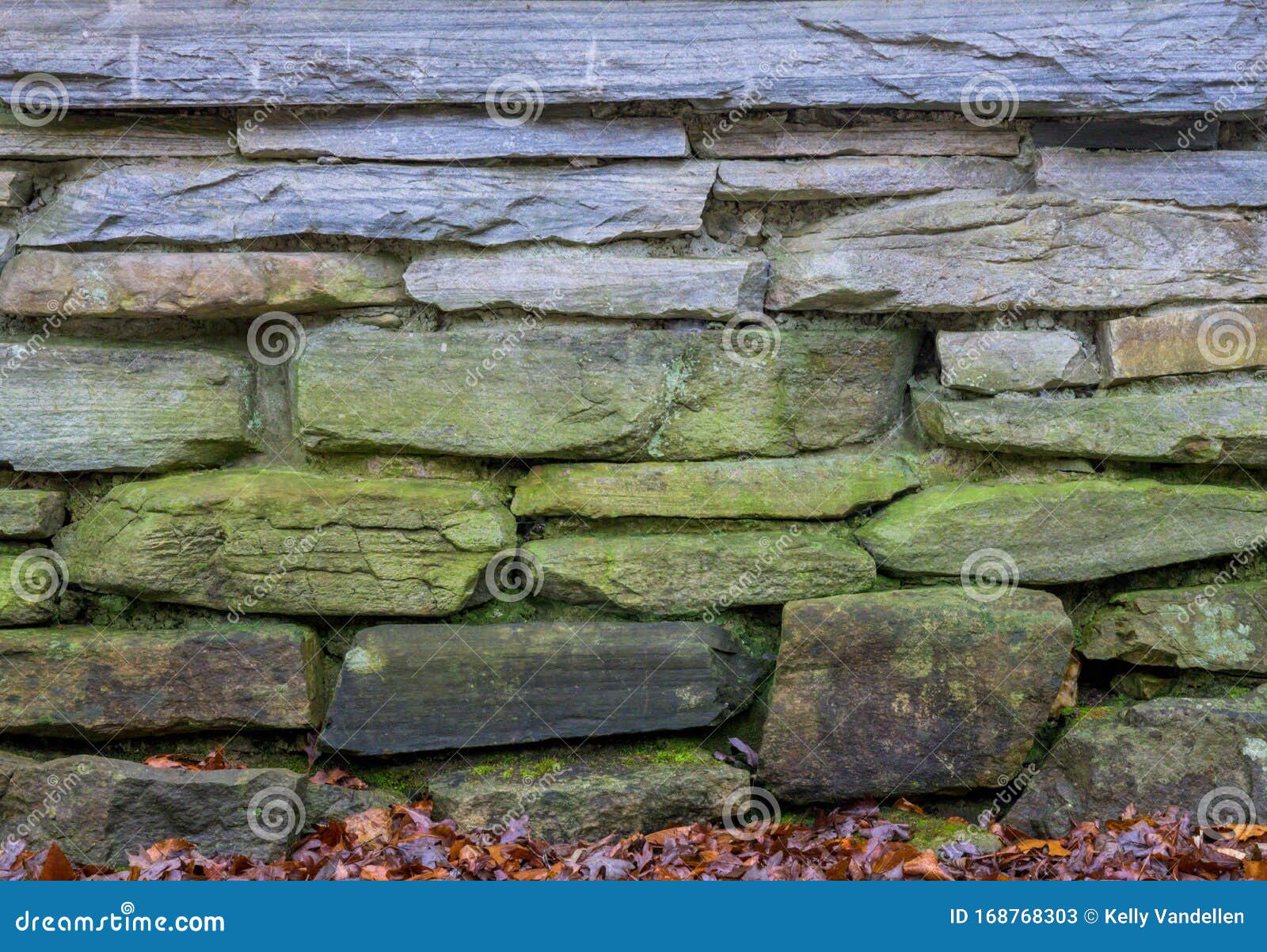 Mossy Gradient Climbs Stone Wall Stock Image - Image of outdoor, close ...