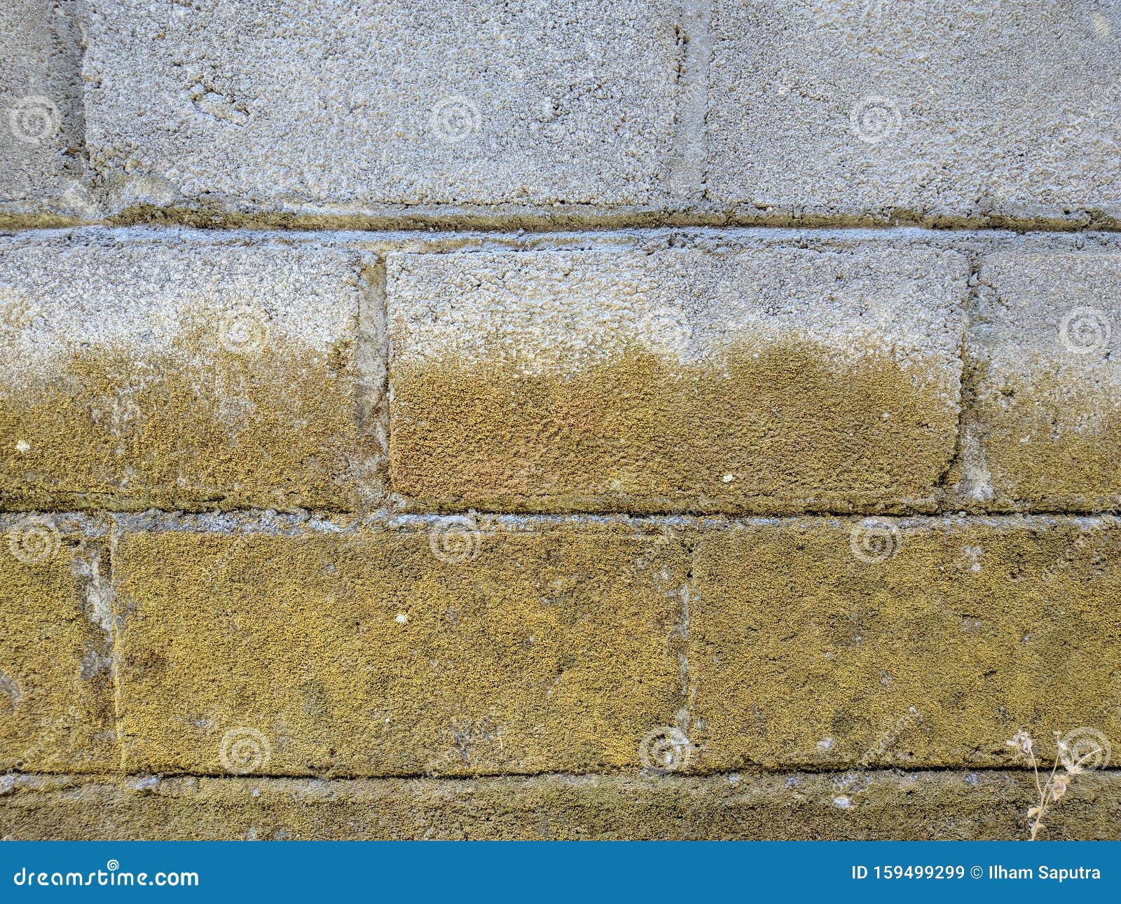 Mossy Grey Brick Wall Texture Background Stock Image - Image of mossy ...