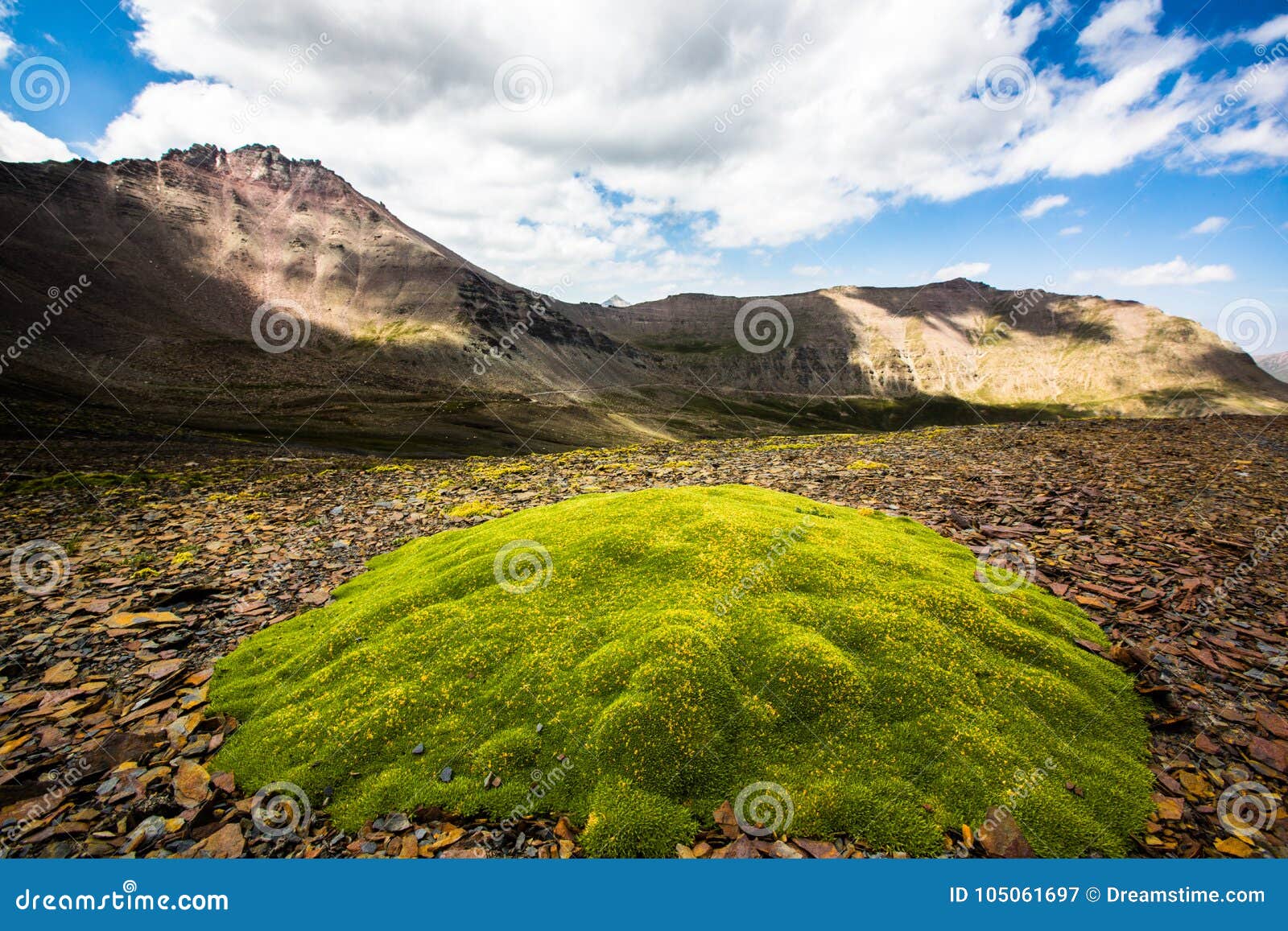 A Mossy Hill is Unexpected in a Desolate Plain Stock Image - Image of ...