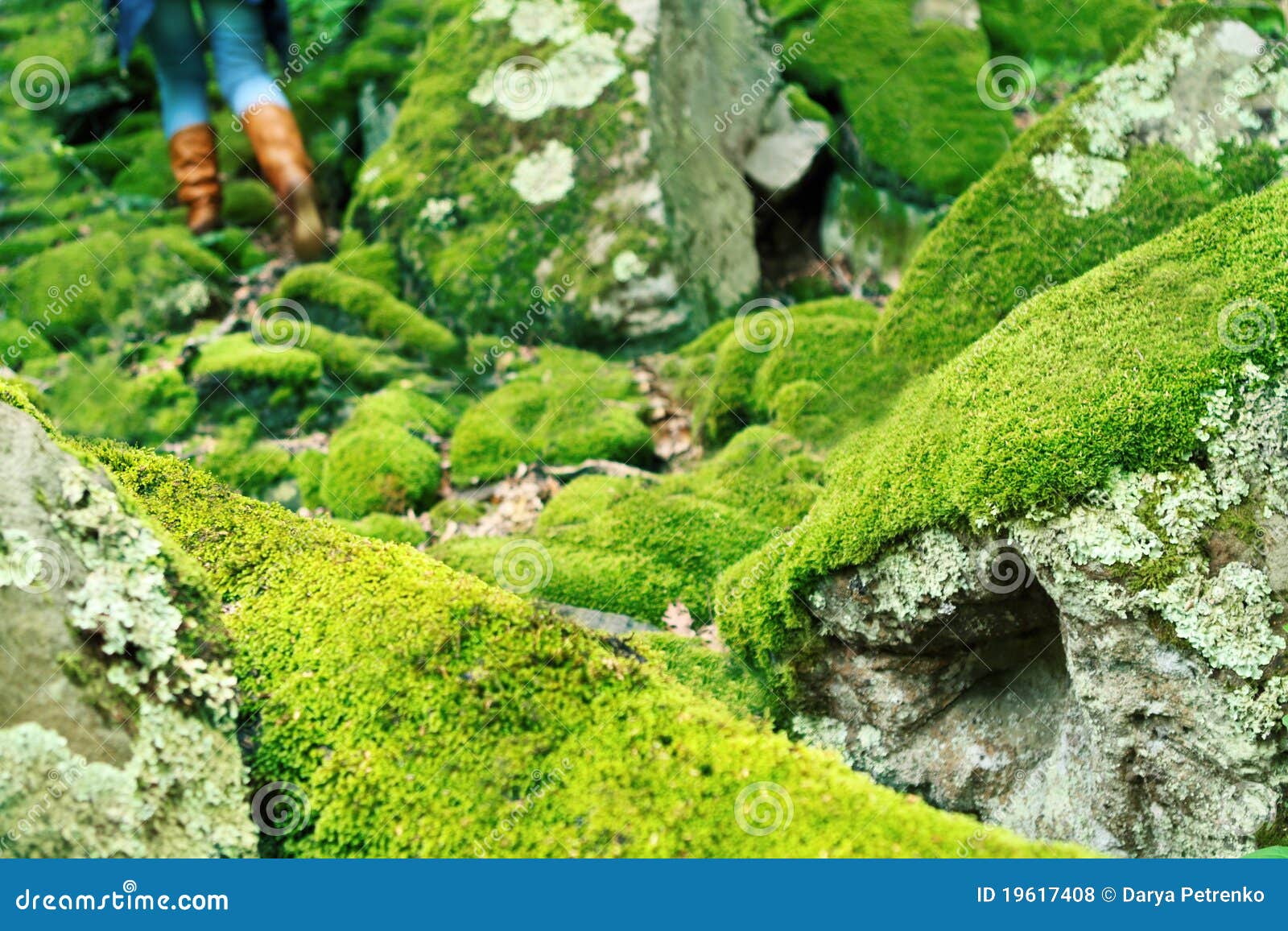 Mossy Large Rocks in the Forest Stock Photo - Image of blue, block ...