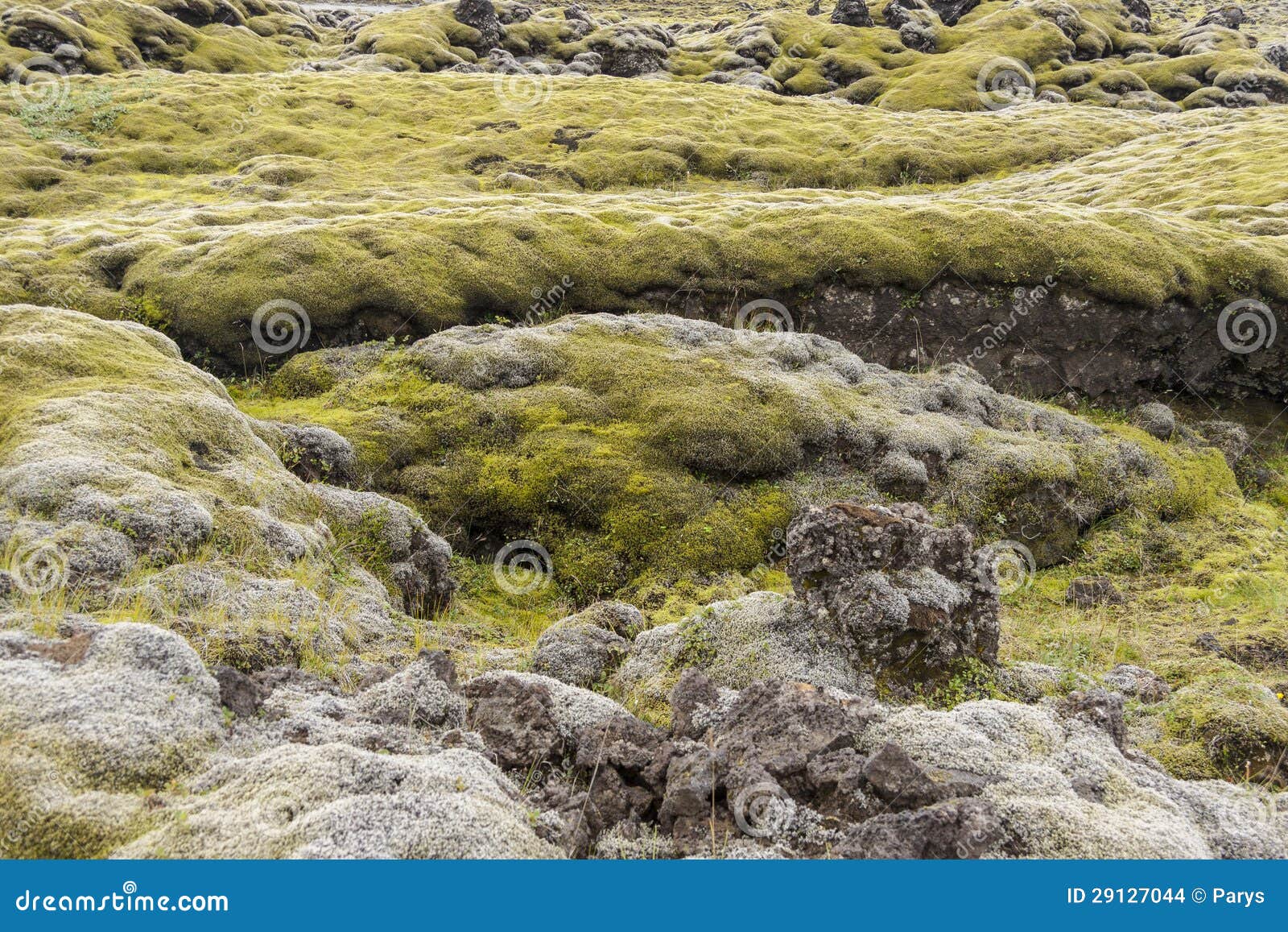 Mossy Lava Field - Iceland. Stock Photo - Image of natural, landscape ...