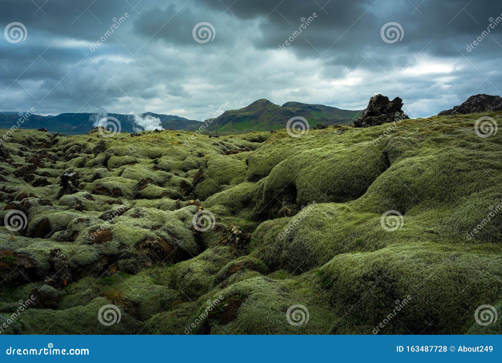 Mossy Lava Fields of Iceland Stock Photo - Image of landscape, tourism: 163487728