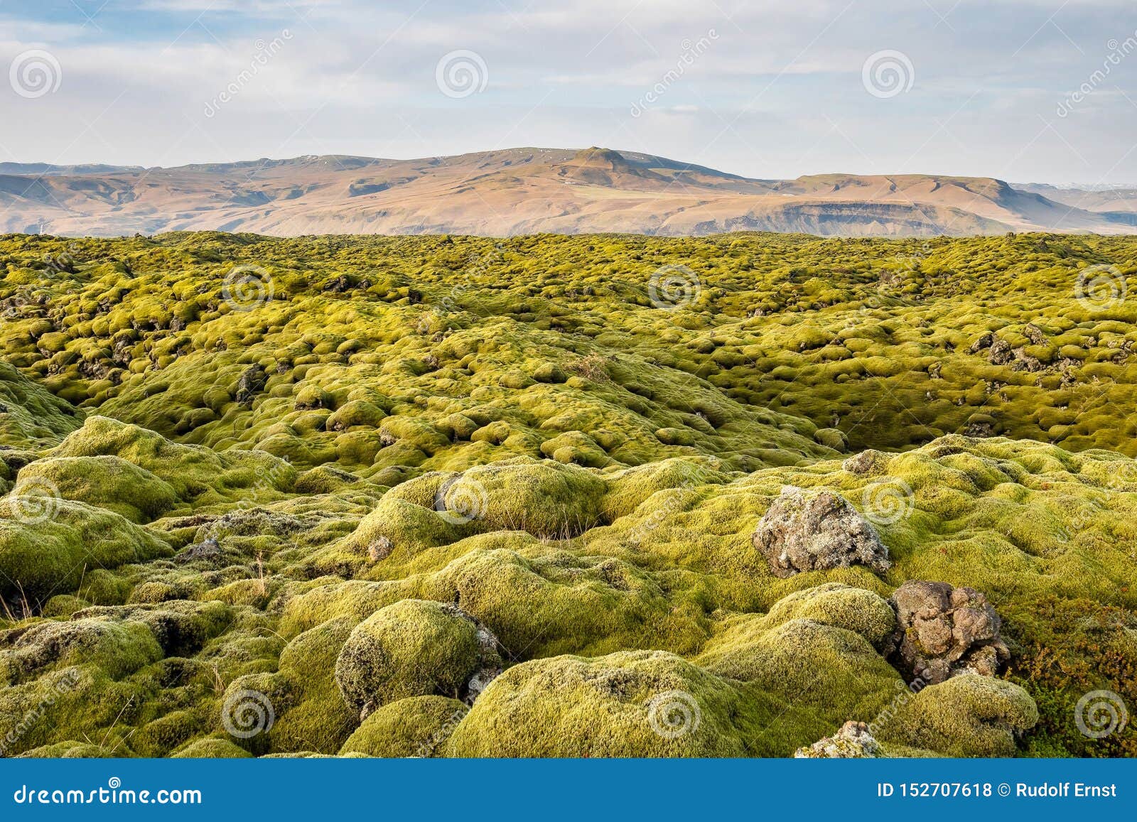 The Mossy Lava Fields Near Vik in Iceland Stock Photo - Image of lava, icelandic: 152707618