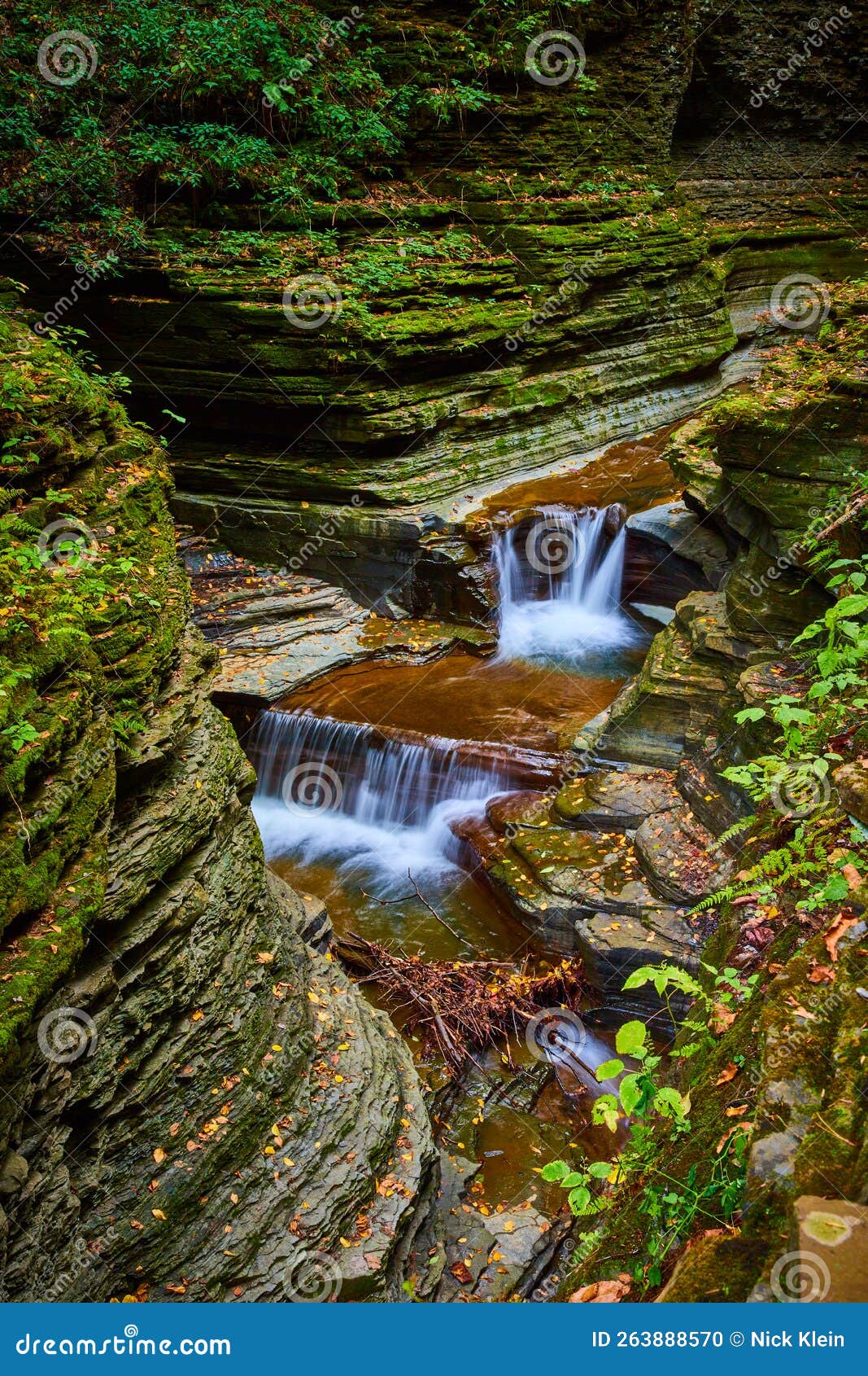 Mossy Layers of Rocks in Canyon Surround Simple River with Layers of ...