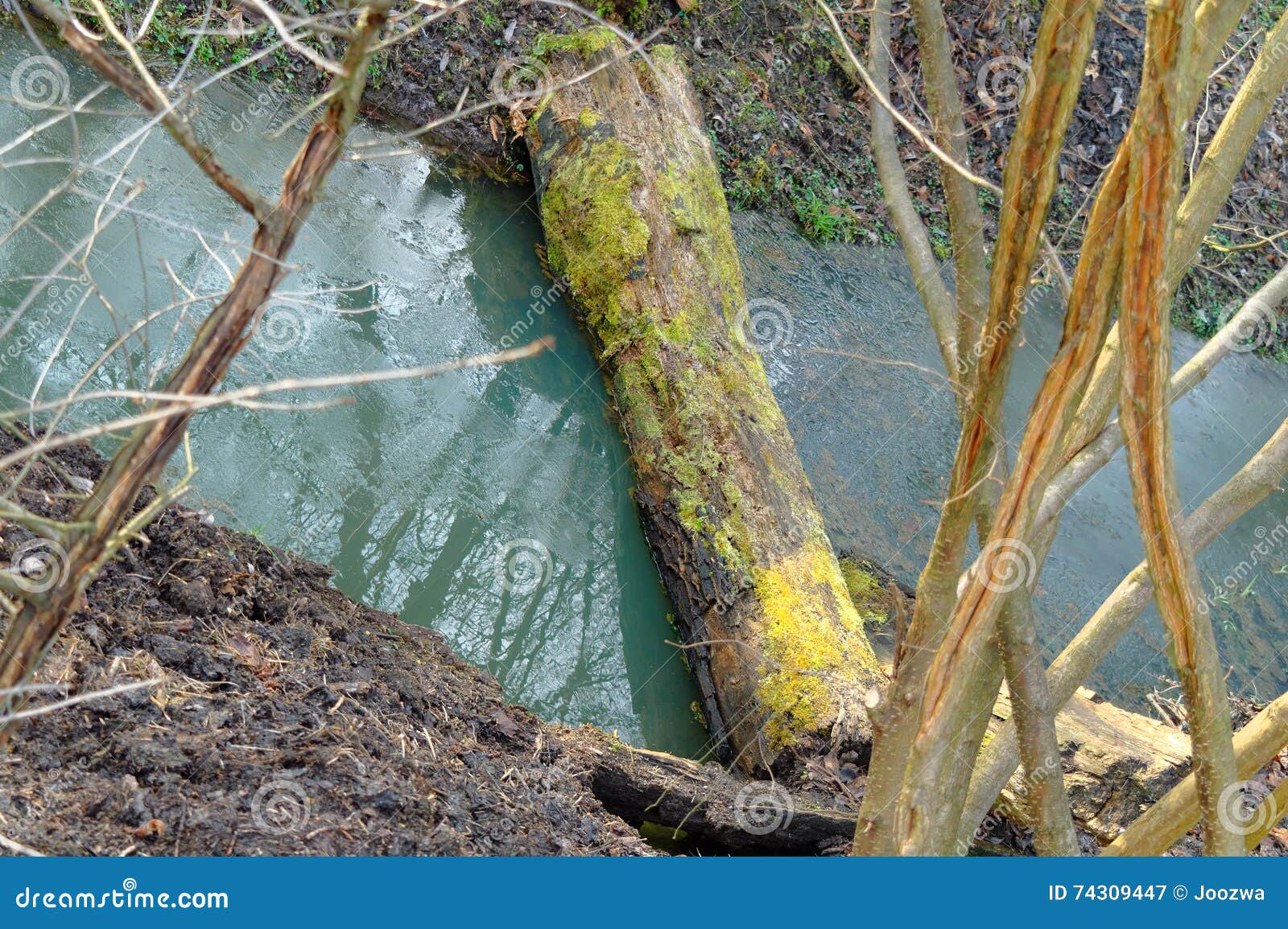 Mossy log in the brook stock image. Image of flow, fallen - 74309447