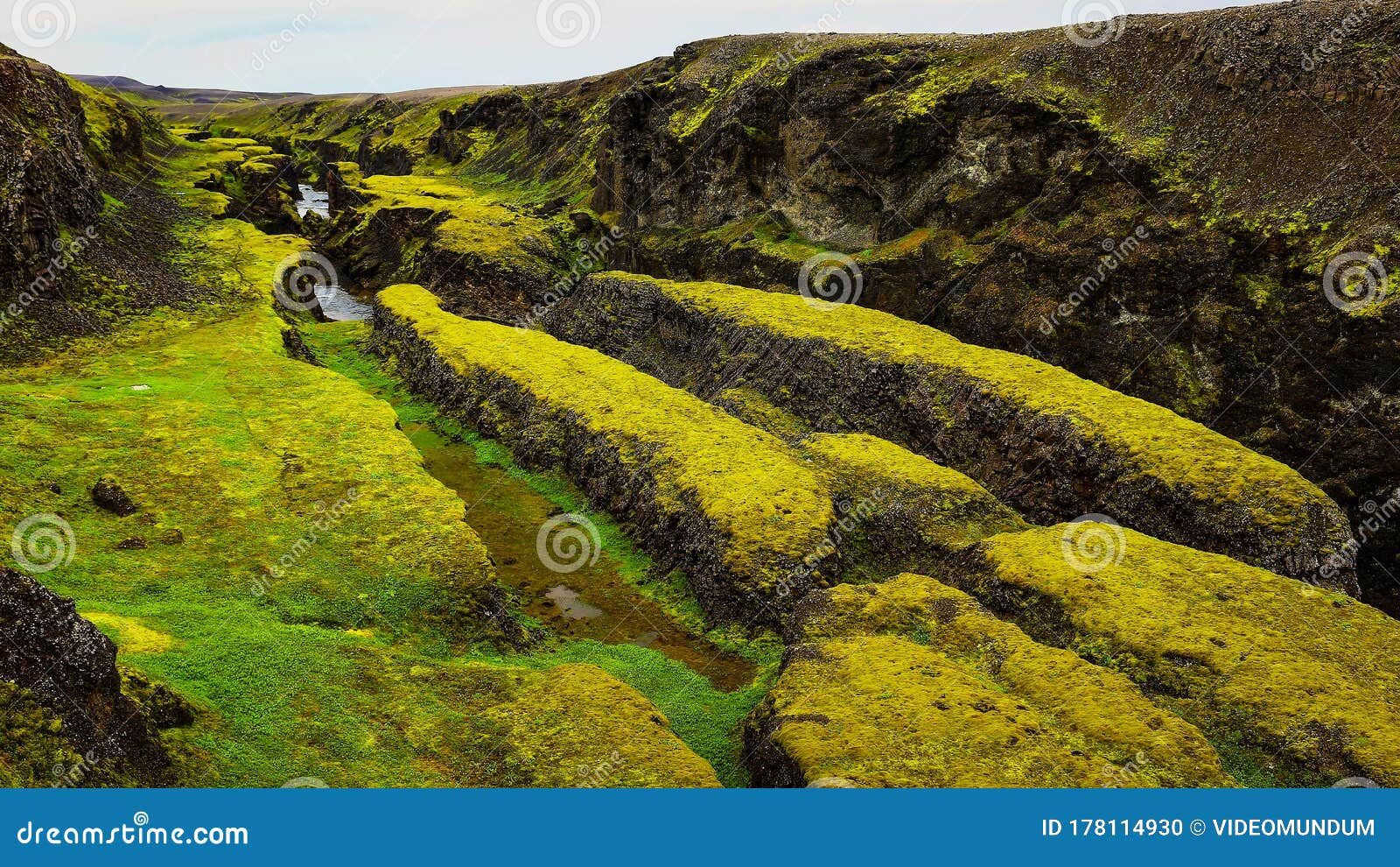 Mossy Ravine in Volcanic Rock Stock Photo - Image of basalt, lichen ...