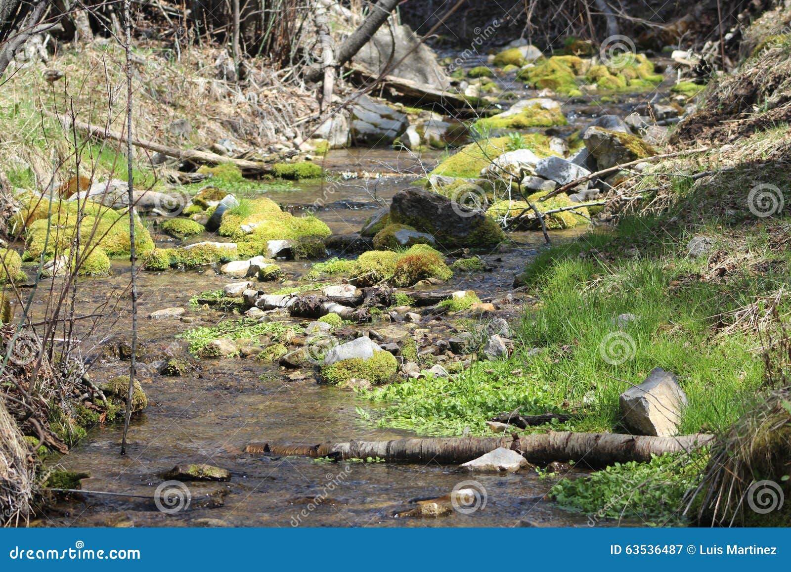 Mossy river stock image. Image of beautiful, left, water - 63536487