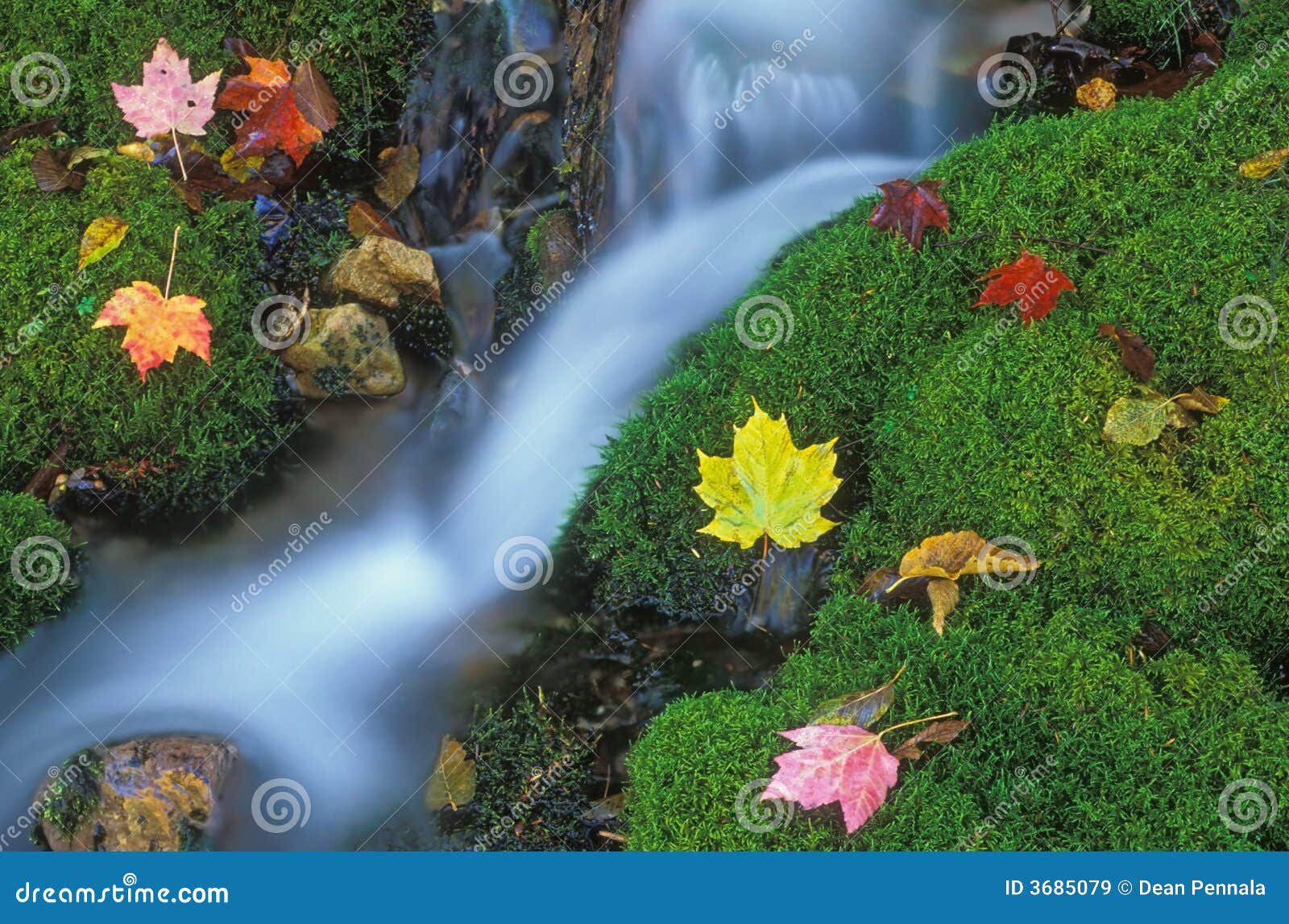 Mossy Rivulet stock image. Image of silky, peaceful, natural - 3685079