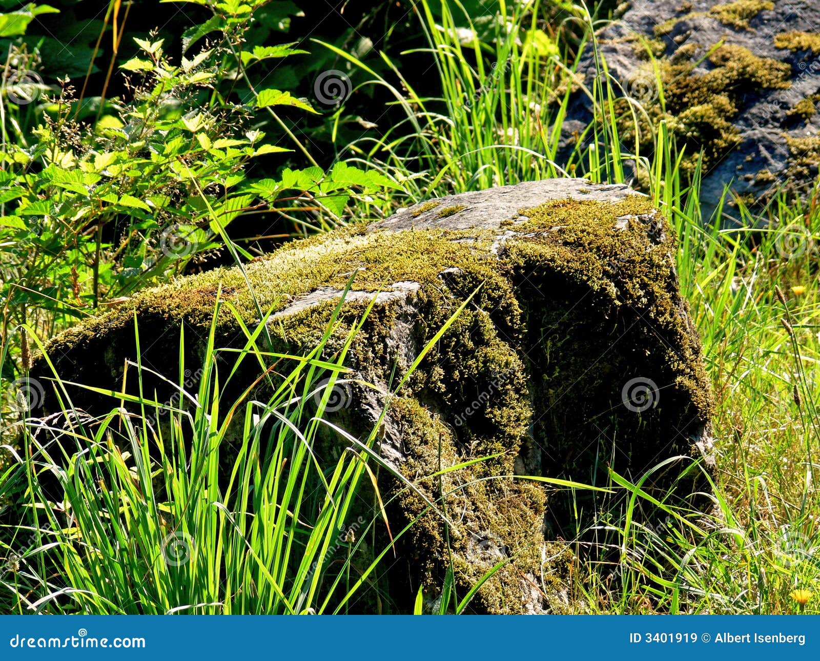 Mossy Rock stock image. Image of nature, stones, moss - 3401919