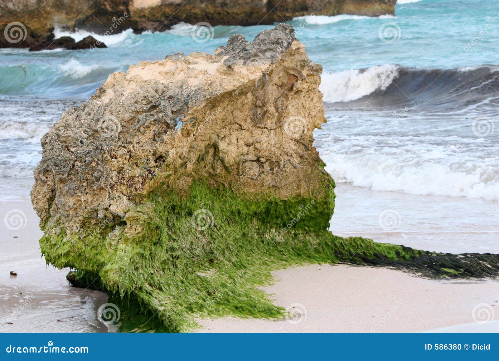Mossy rock stock photo. Image of watermark, tropical, coastline - 586380
