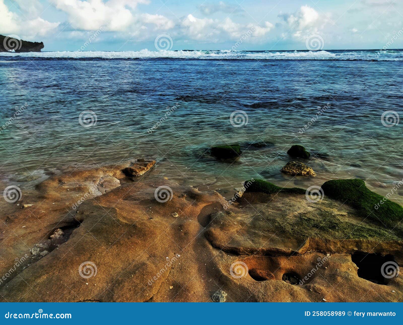 Mossy rock on the beach stock image. Image of wave, terrain - 258058989
