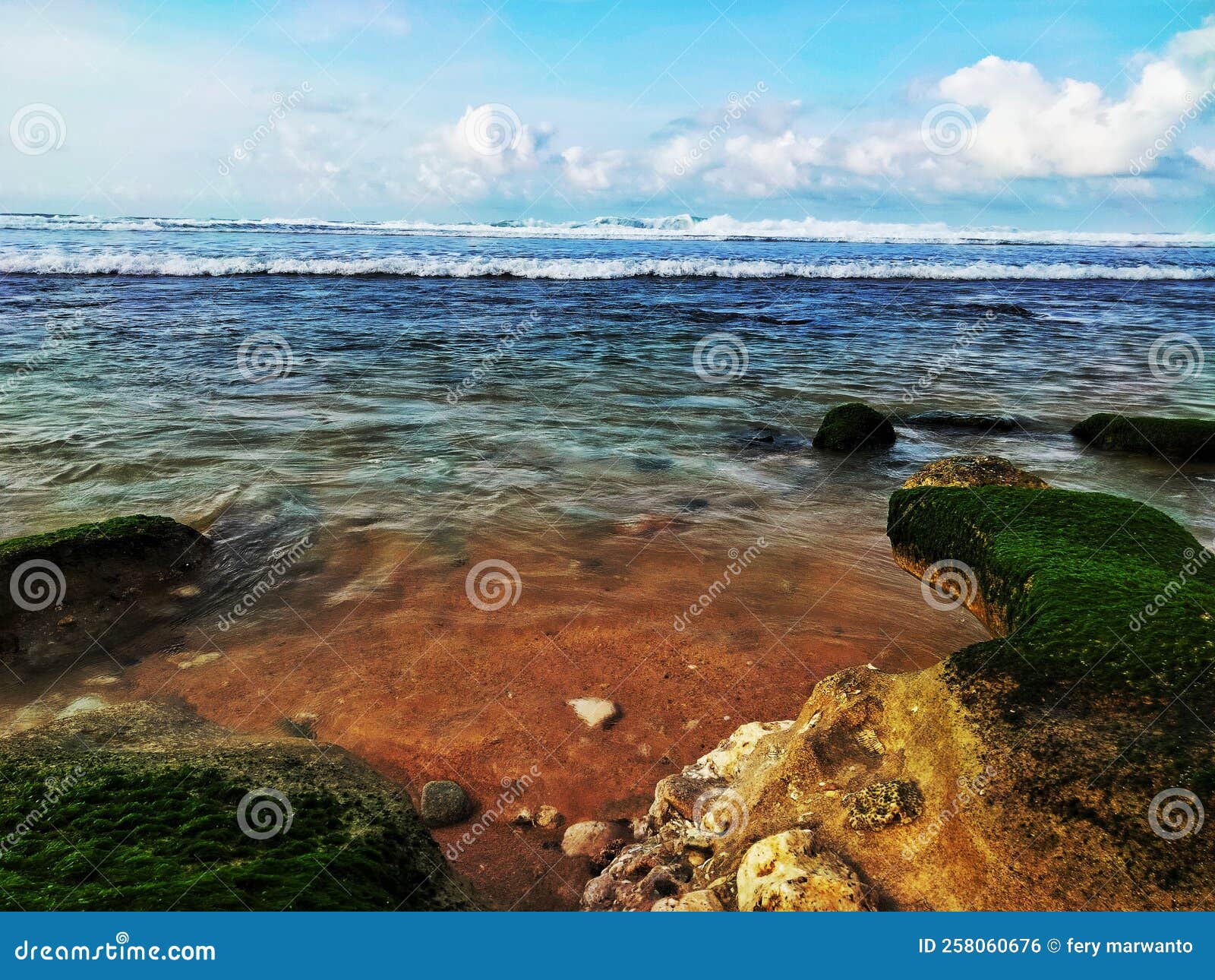 Mossy rock on the beach stock photo. Image of cape, ocean - 258060676